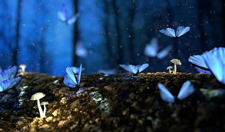 Psilocybin & Longevity - Magic Mushrooms Extend Life - Ancient Purity ...